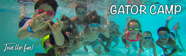 Gator Camp | Avalonclub